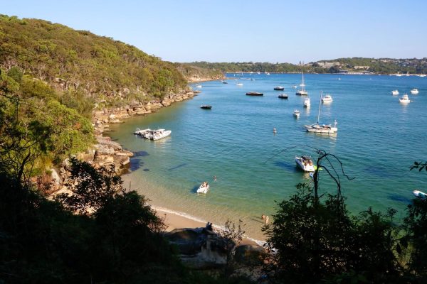 Ultimate Guide to Sydney New Year’s Eve - Sydney Outdoors
