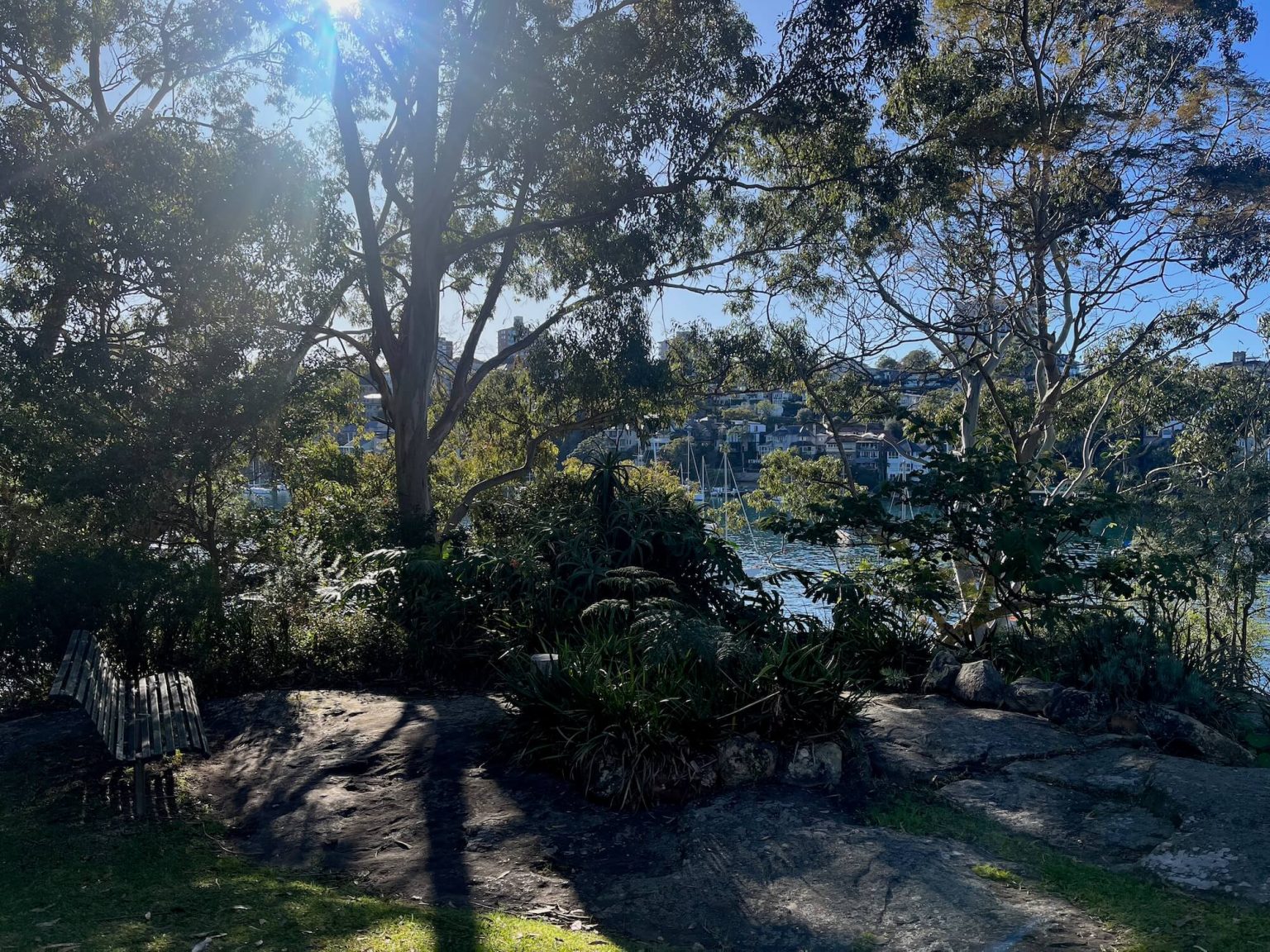 15 Dog Friendly Walks in Sydney - Sydney Outdoors