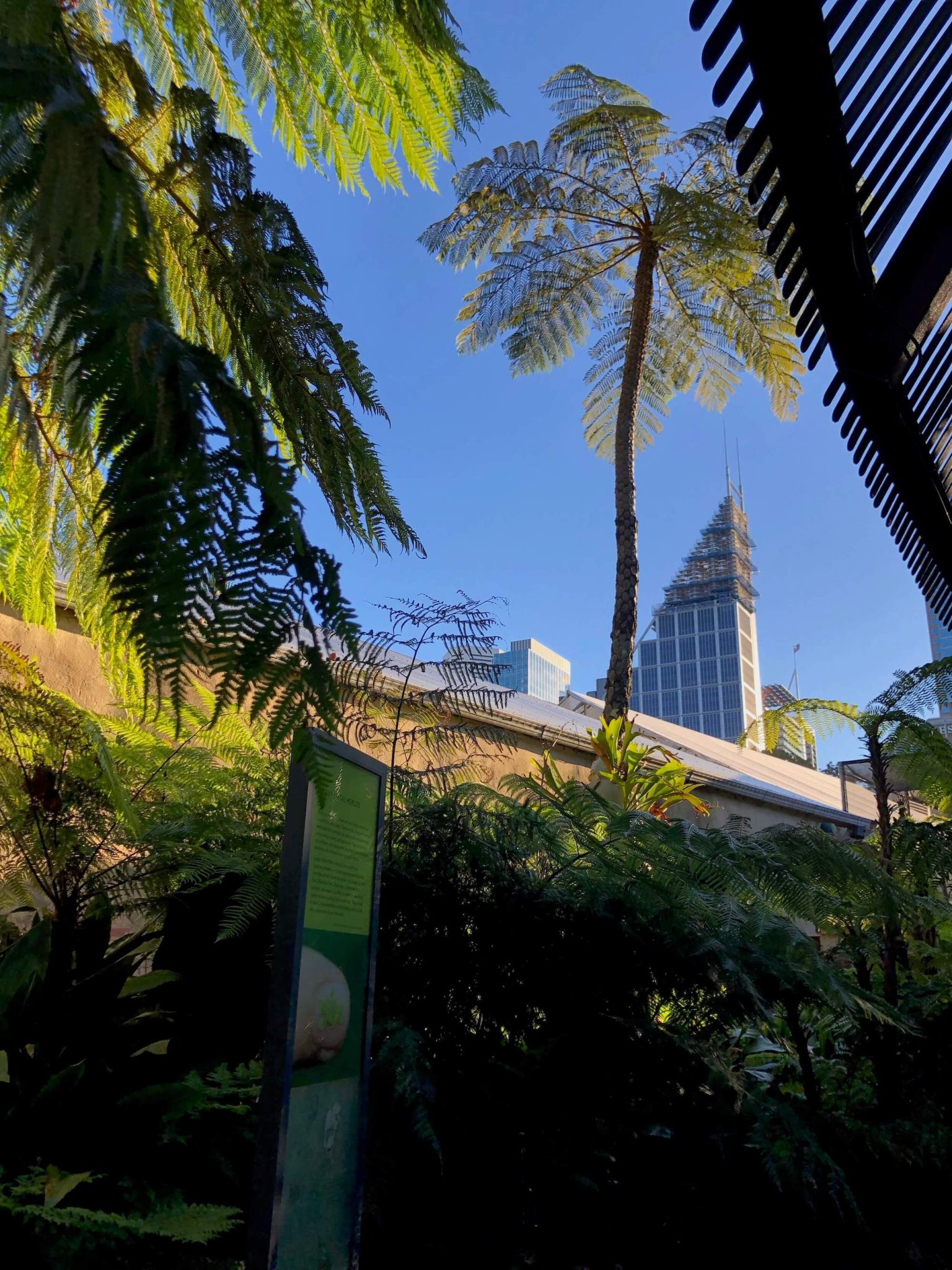 Hidden Gem: The Sydney Fernery - Sydney Outdoors
