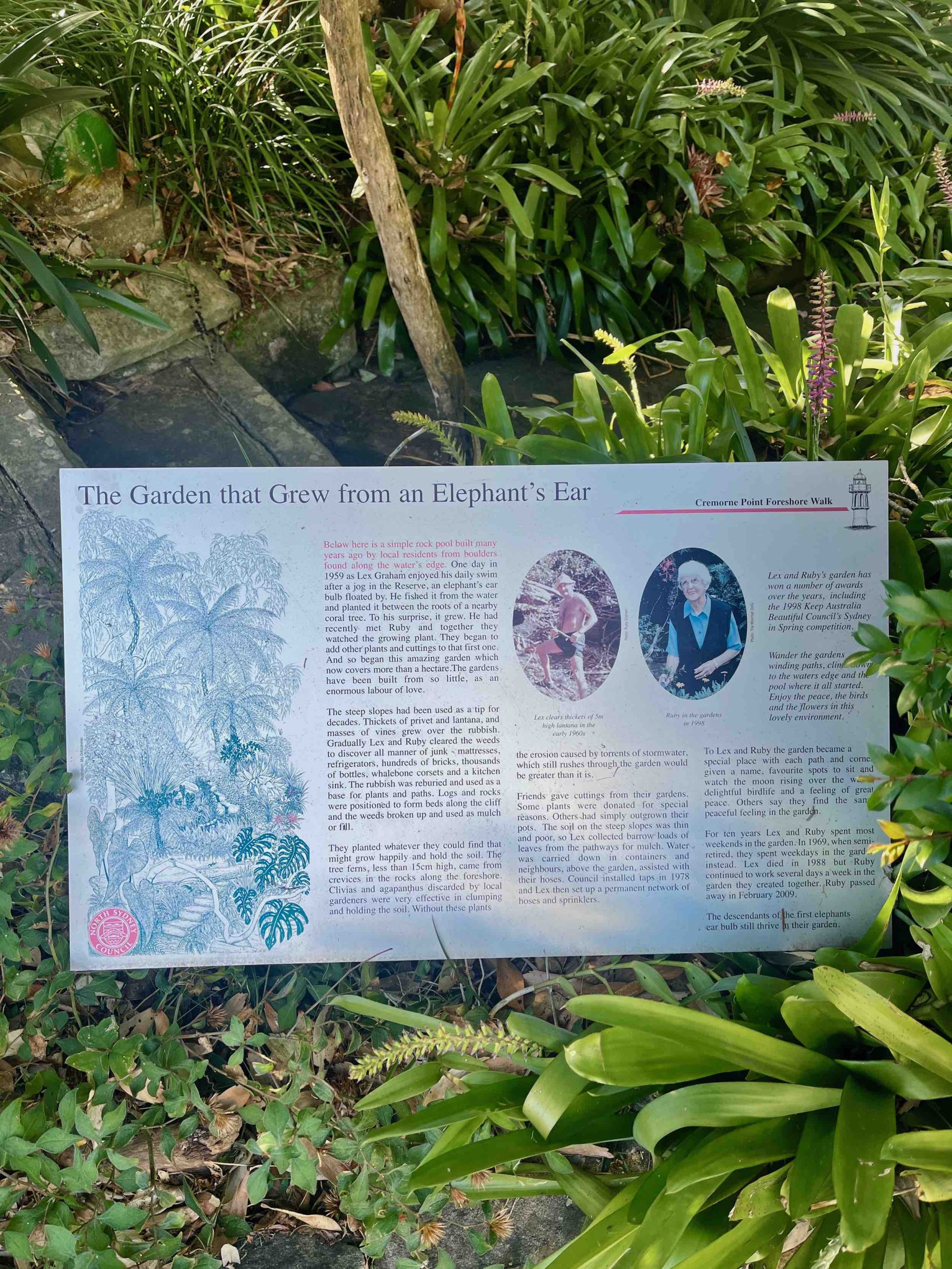 101 Outdoor Activities in Sydney - Sydney Outdoors