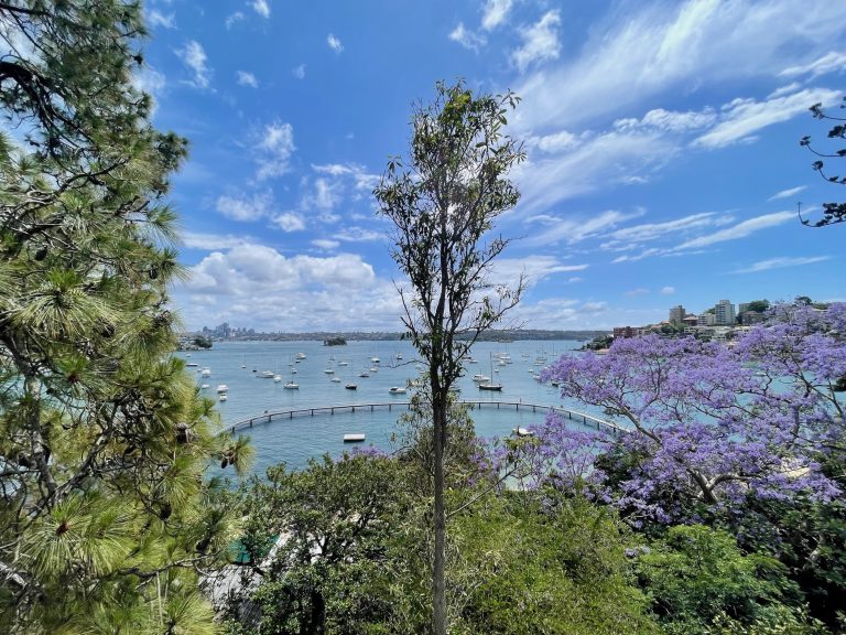 Where to Swim in Sydney Harbour - Sydney Outdoors