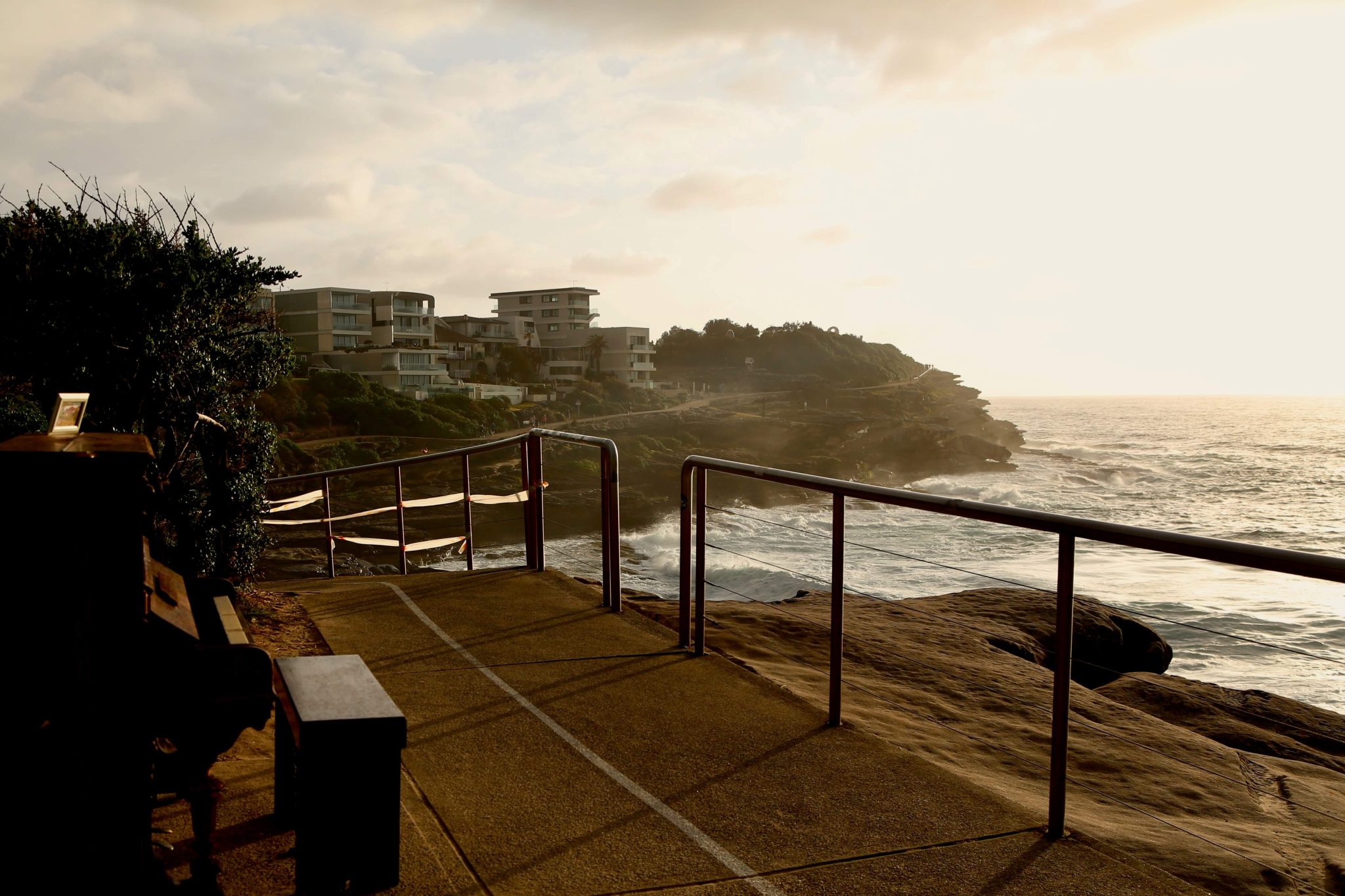 15 Dog Friendly Walks in Sydney - Sydney Outdoors