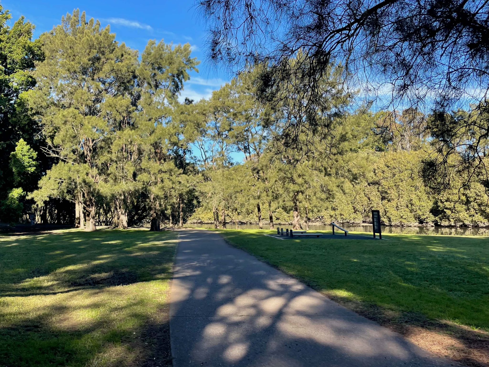 15 Dog Friendly Walks in Sydney - Sydney Outdoors